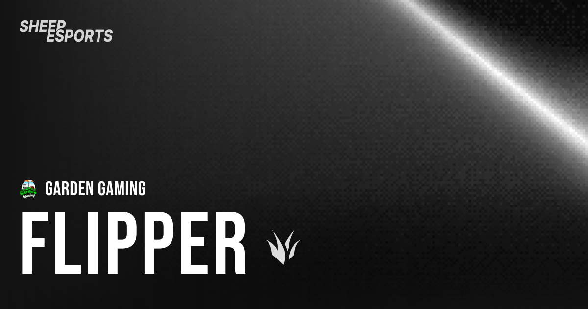 Flipper - Pro Stats | Sheep Esports